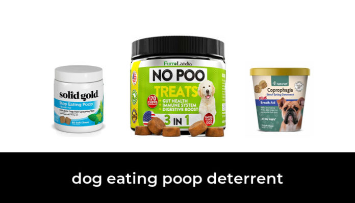 45 Best Dog Eating Poop Deterrent 2022 - After 159 hours of research ...