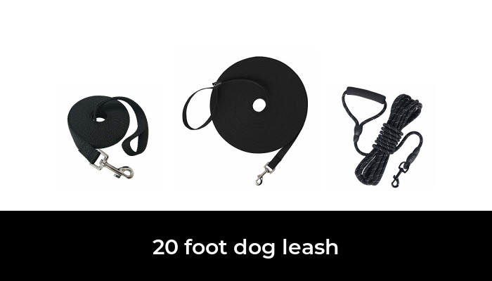 43 Best 20 Foot Dog Leash 2021 - After 131 hours of research and testing.