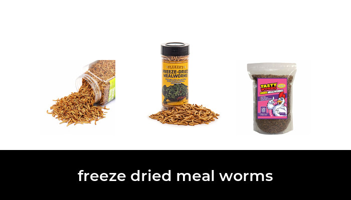 47 Best freeze dried meal worms 2022 - After 157 hours of research and ...