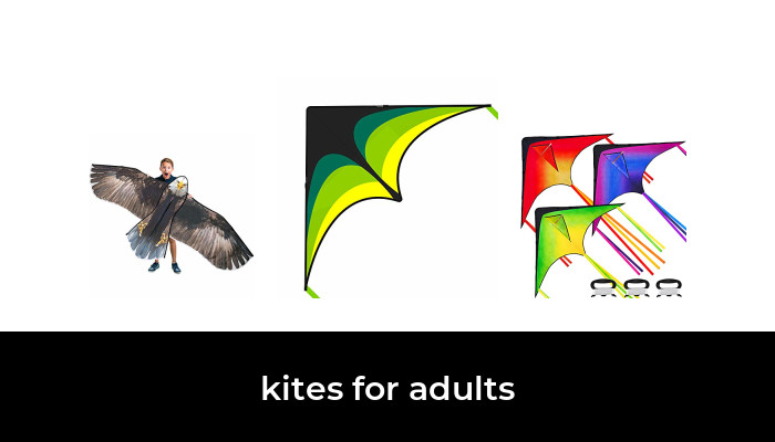 47 Best kites for adults 2022 - After 160 hours of research and testing.