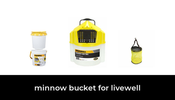 49 Best minnow bucket for livewell 2022 - After 122 hours of research ...