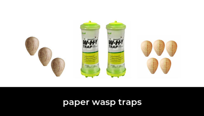 45 Best paper wasp traps 2022 - After 173 hours of research and testing.