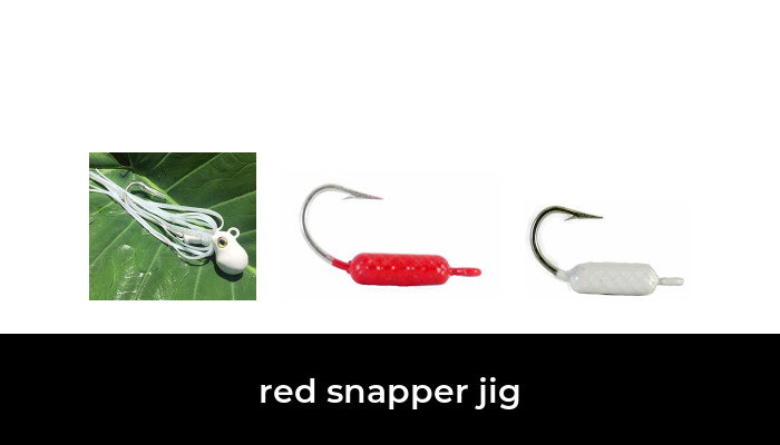 45 Best red snapper jig 2022 - After 229 hours of research and testing.