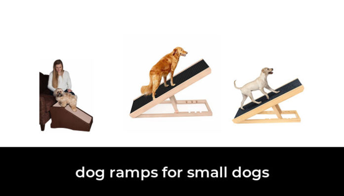 46 Best dog ramps for small dogs 2022 - After 131 hours of research and ...