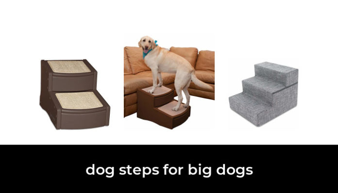 39 Best dog steps for big dogs 2022 - After 244 hours of research and ...