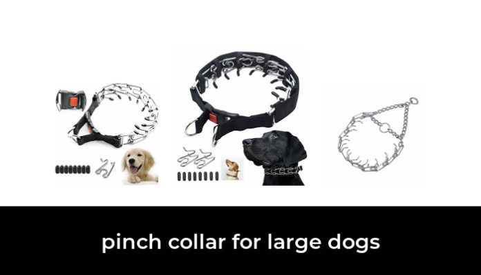 47 Best pinch collar for large dogs 2022 - After 229 hours of research ...