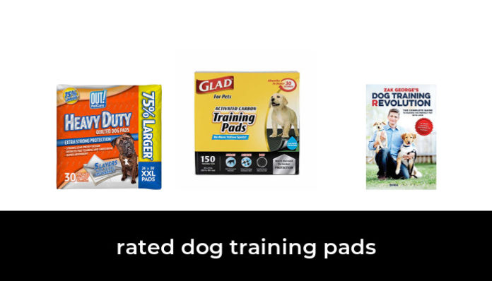 49 Best rated dog training pads 2023 - After 202 hours of research and ...