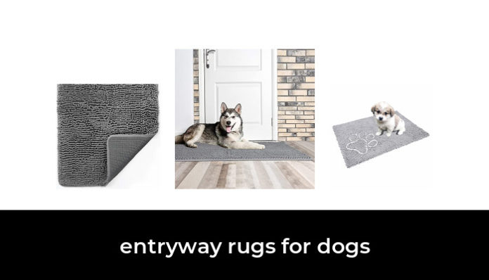 50 Best entryway rugs for dogs 2022 - After 156 hours of research and ...