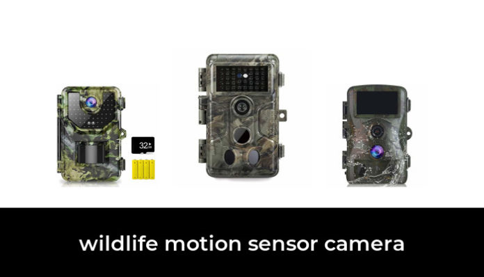 49 Best wildlife motion sensor camera 2022 - After 219 hours of ...